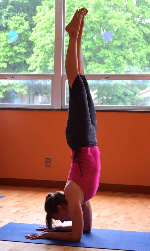 About Us Raleigh Yoga Center